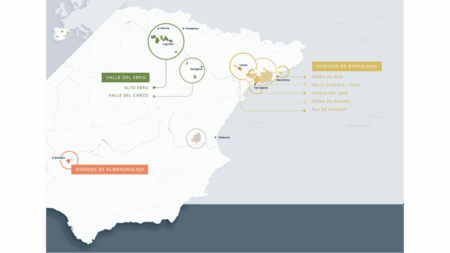 The Ultimate Guide To Cava - Swallow Don't Spit Wine