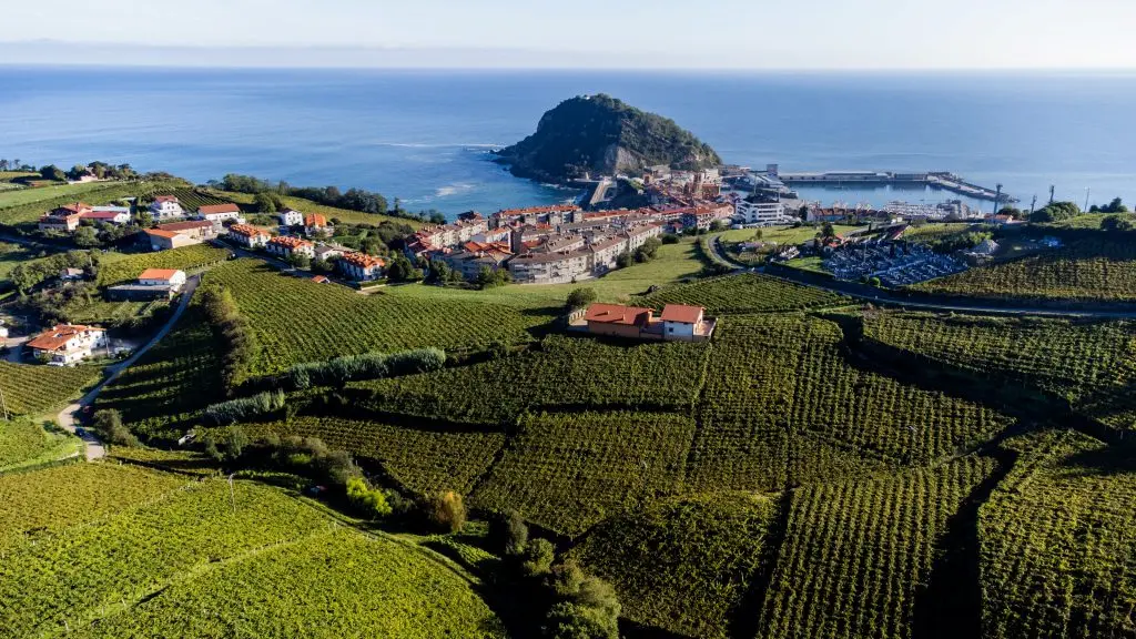 Ultimate Guide to DO Txakoli: Spain’s Salty, Spritzy Basque Wine